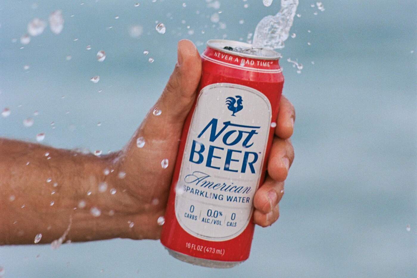 Not Beer Packaging Design by Nessen Company